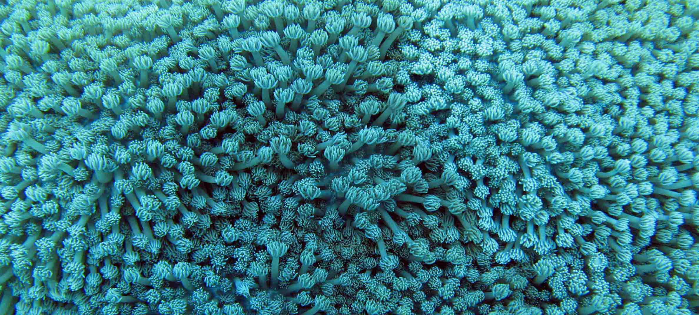 Bahamas Real Estate | February Point | Exumas Bahamas