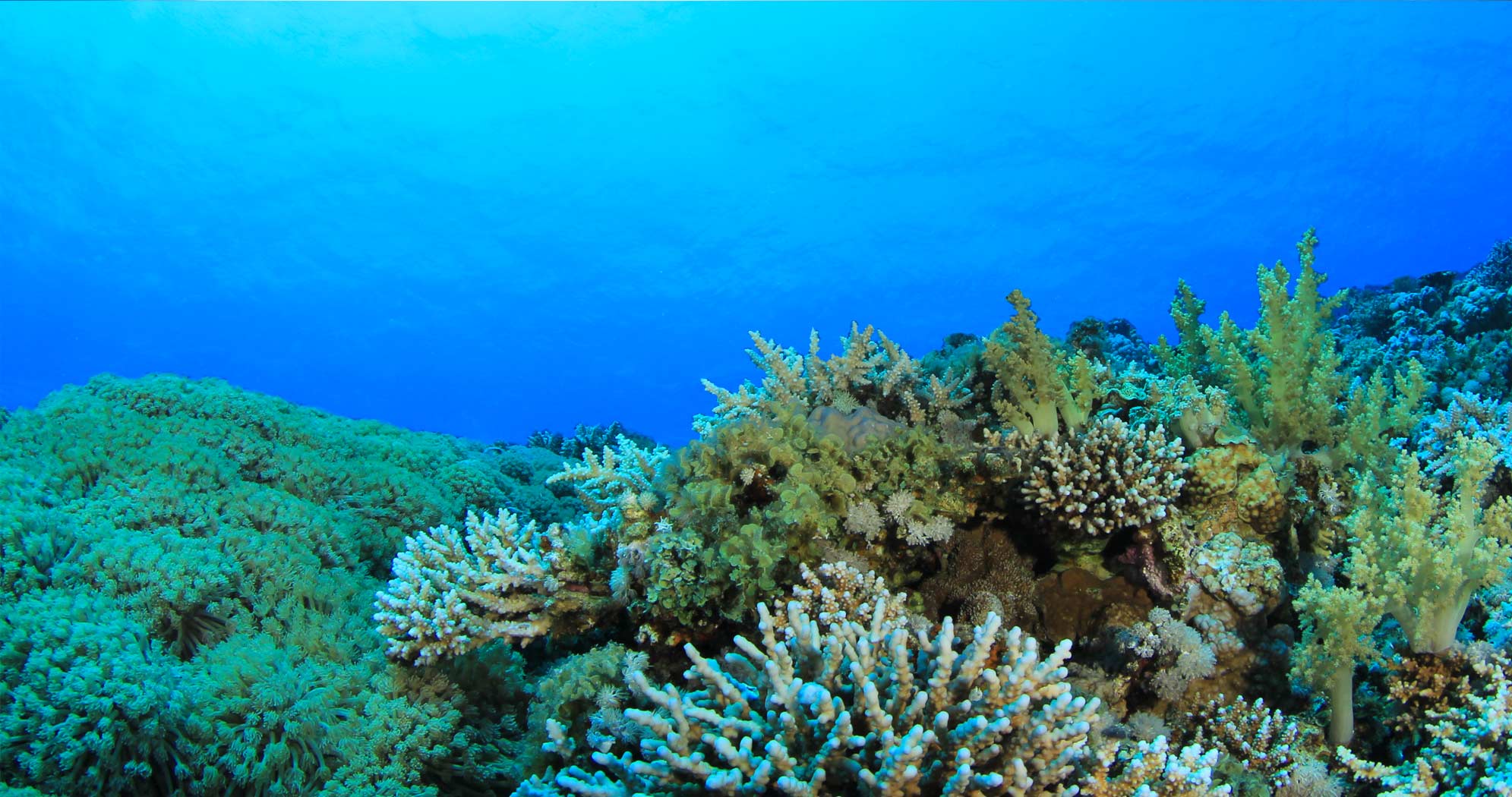 Bahamas Real Estate | February Point | Exumas Bahamas